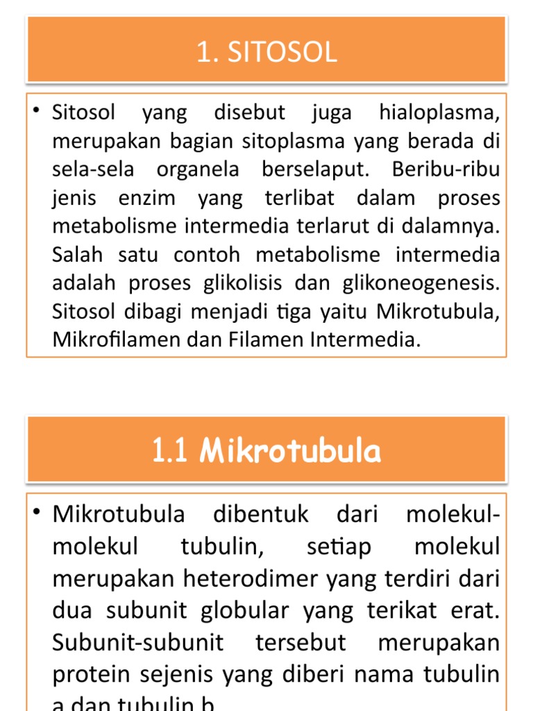 Struktur dan Fungsi Sitosol | PDF