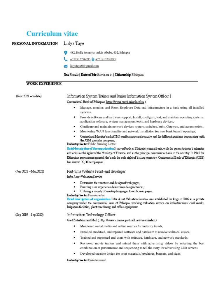 Curriculum Vitae | PDF | Computing