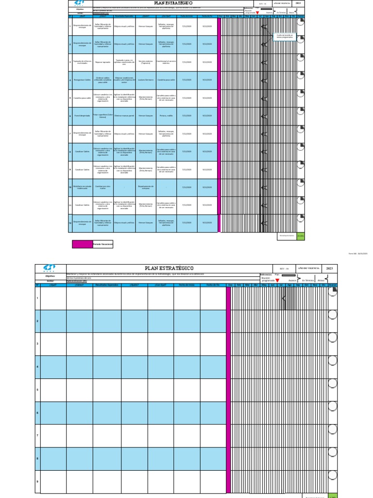 Form-346 - Plan Estratégico 20233 | PDF