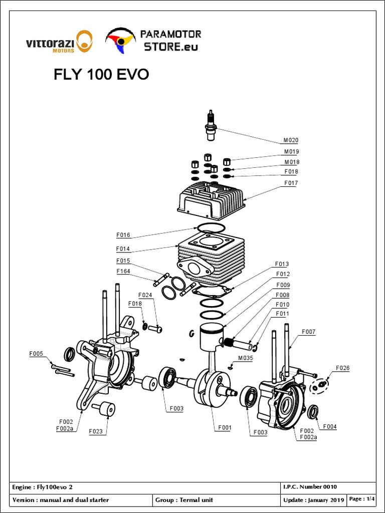 Fly100evo 2 Engine Manual Guide | PDF