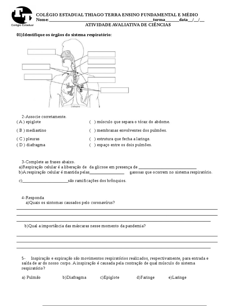 Atividade 8 Ano Ciencias | PDF