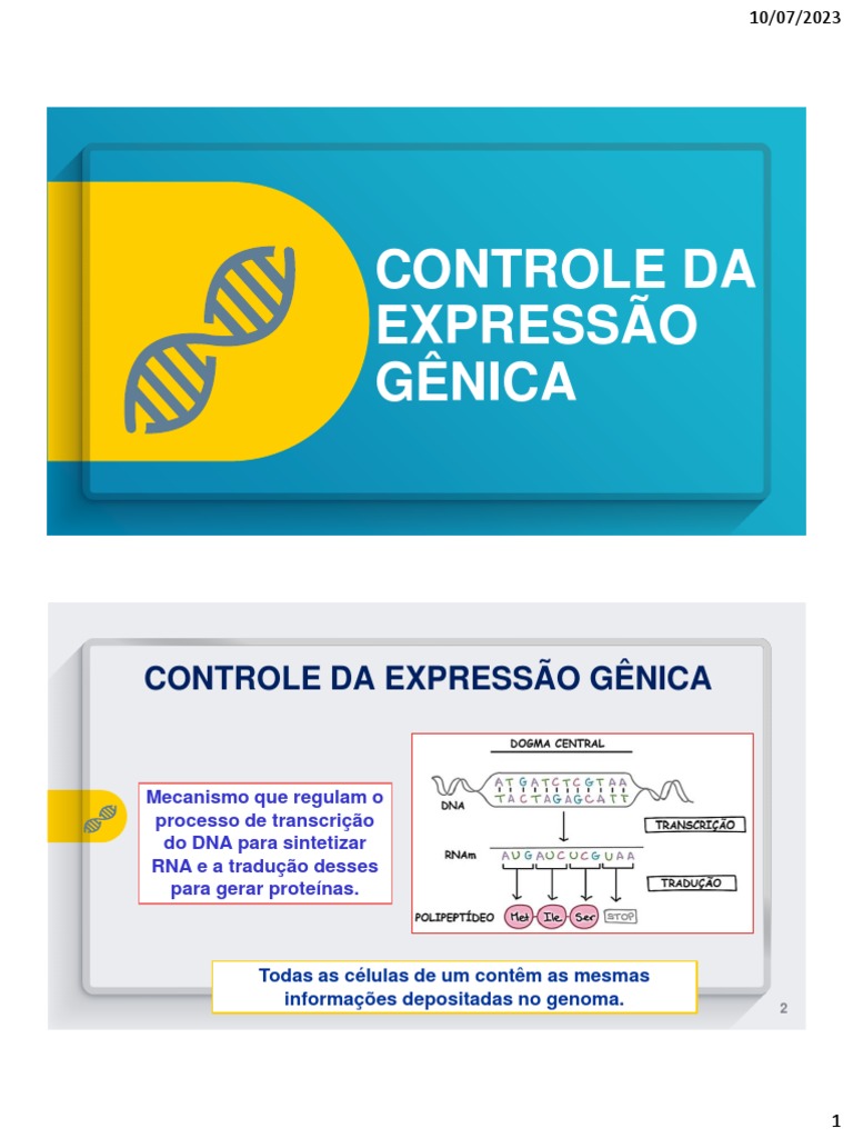 Aula CONTROLE DA EXPRESSAO GENICA | PDF | Gene | Regulação da expressão ...
