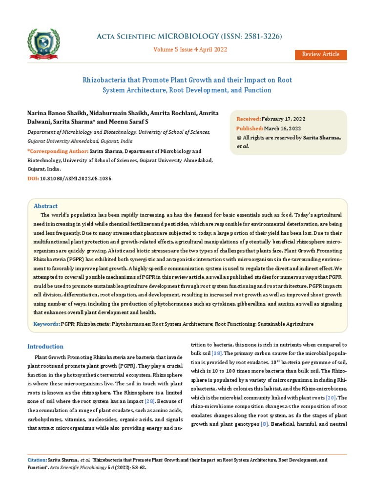 Acta Micro - 2022 - Narina Shaikh Root System Archetexture | PDF | Root | Plant Hormone
