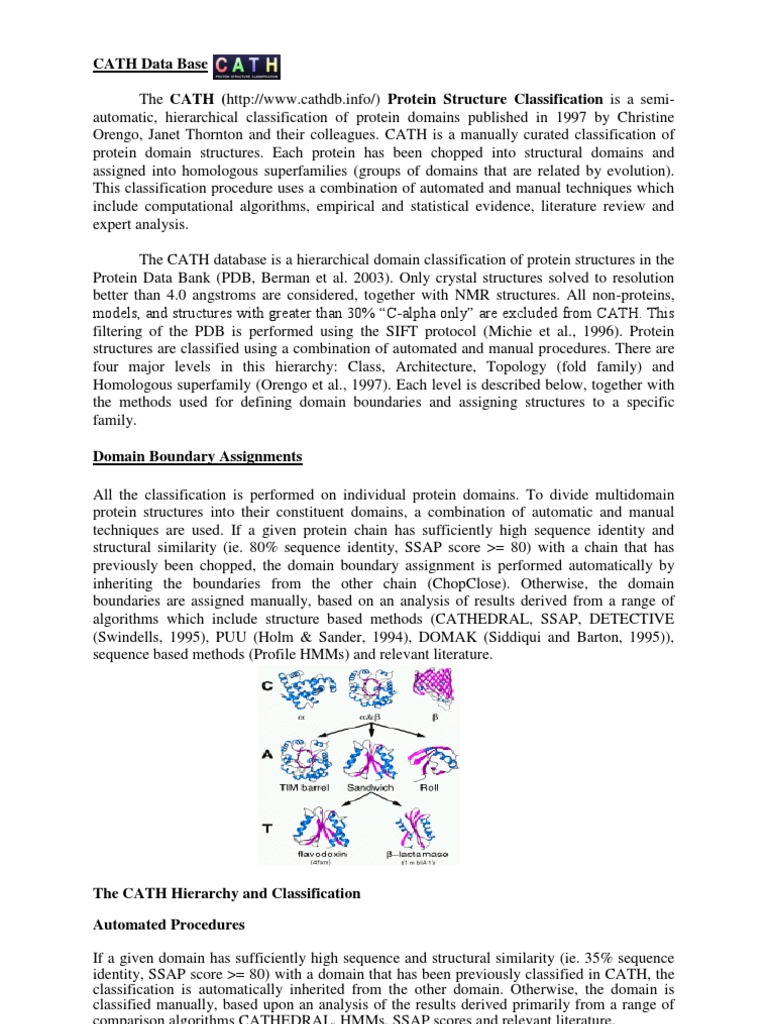 CATH, Bilogical Data Bases, Bioinformatics Data Base | PDF | Protein Domain | Sequence Alignment