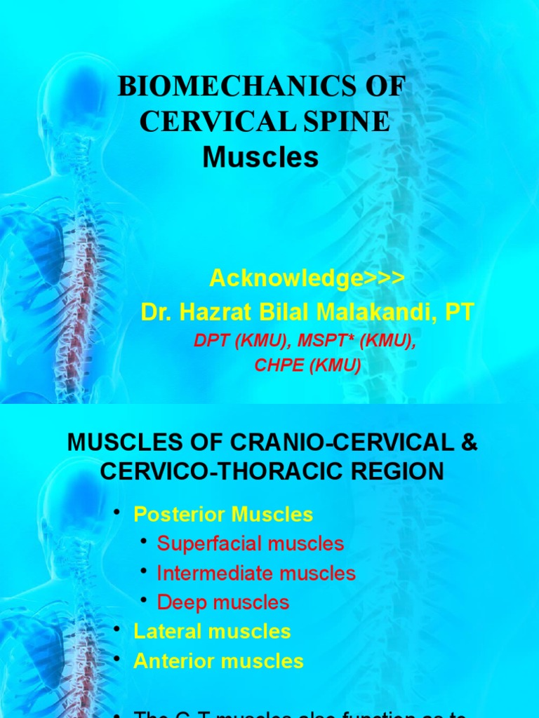 3-Bio-Mechanics Cervical Spine Muscles Lec # 01 | PDF
