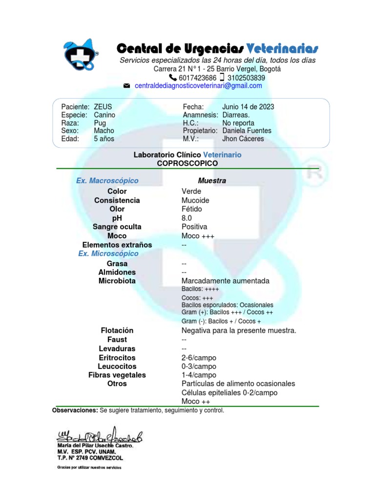 Zeus - MV Jhon Cã - Ceres | PDF
