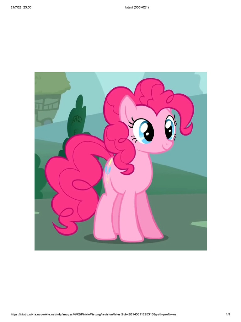 Pinkie Pie | PDF