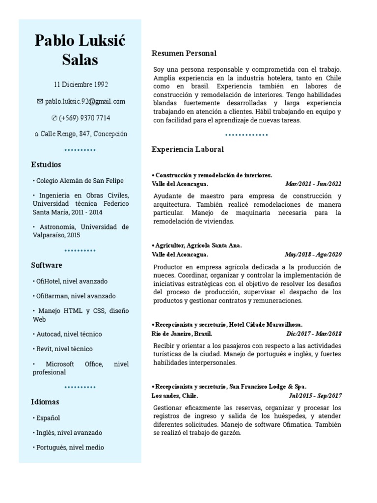 Curriculum Vitae Pablo Luksic | PDF
