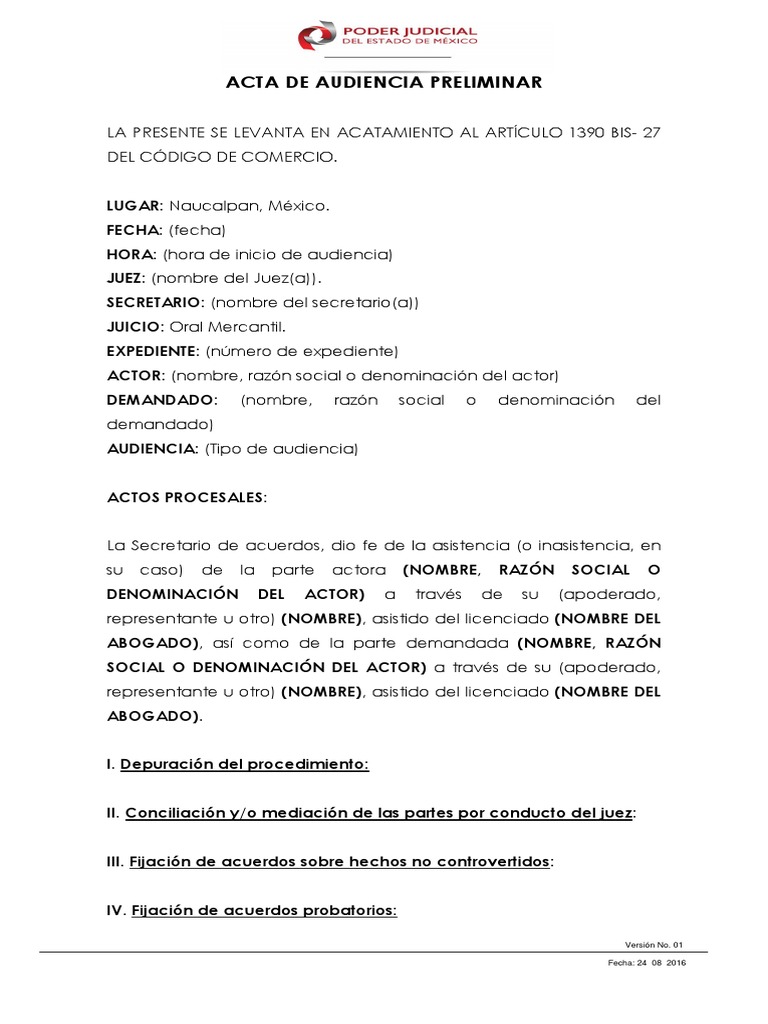 Formato Acta de Audiencia Preliminar | PDF
