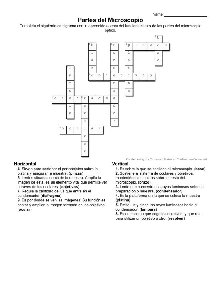 Crucigrama Partes Del Microscopio CON CLAVES | PDF