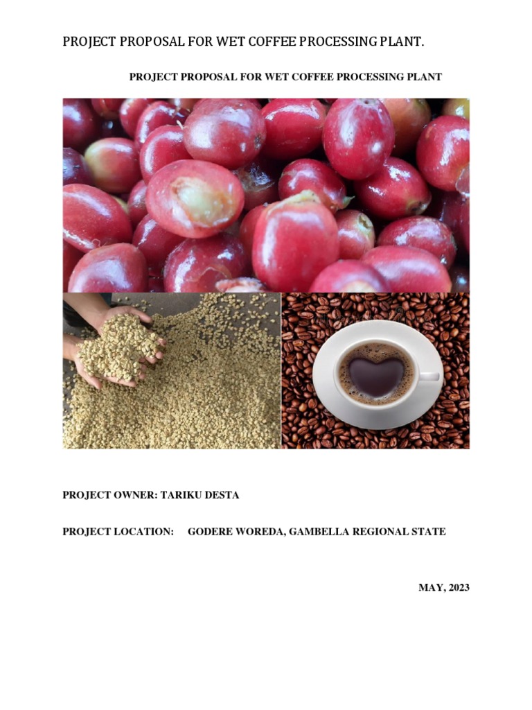 Kabo Final Wet-Coffee-Processing | PDF | Coffee | Economies