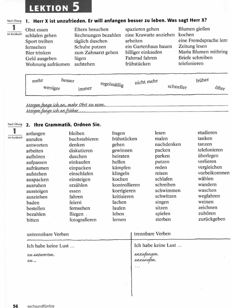 Nelson Lektion 5 Arbeitsbuch | PDF