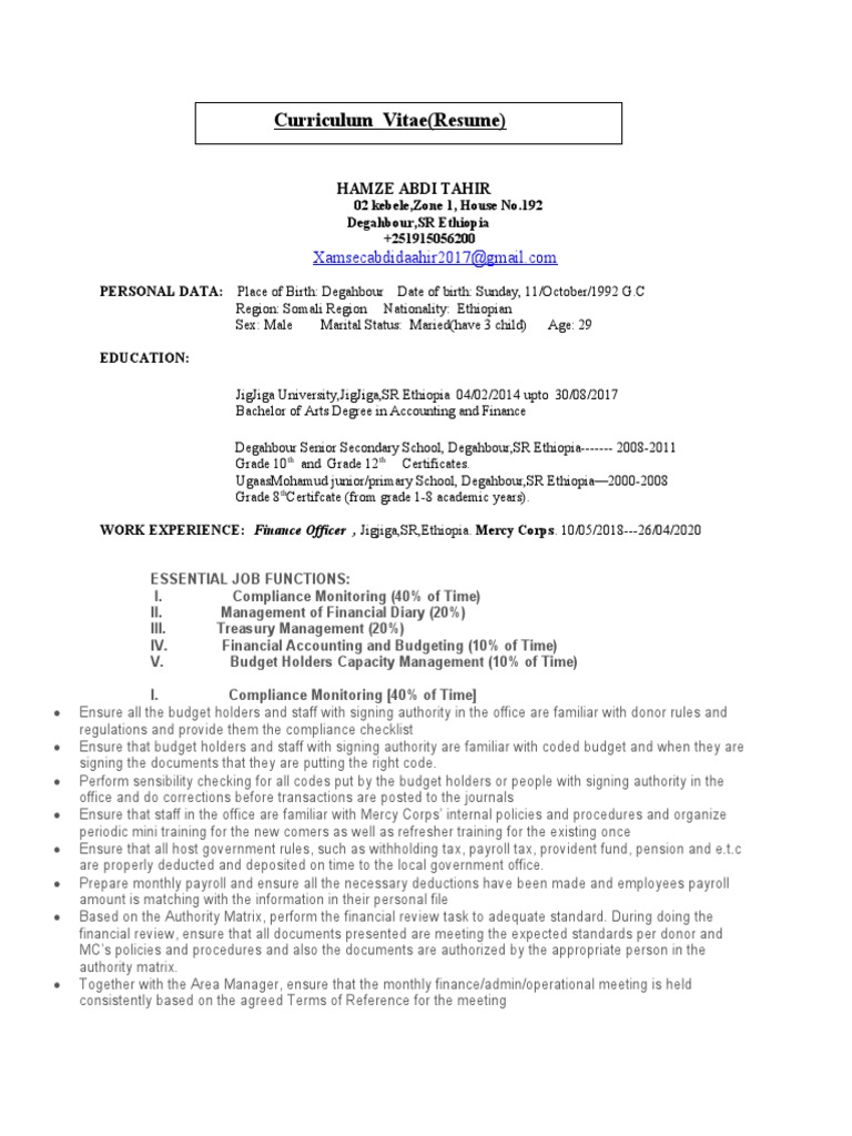 HAMZE CV in Last | PDF