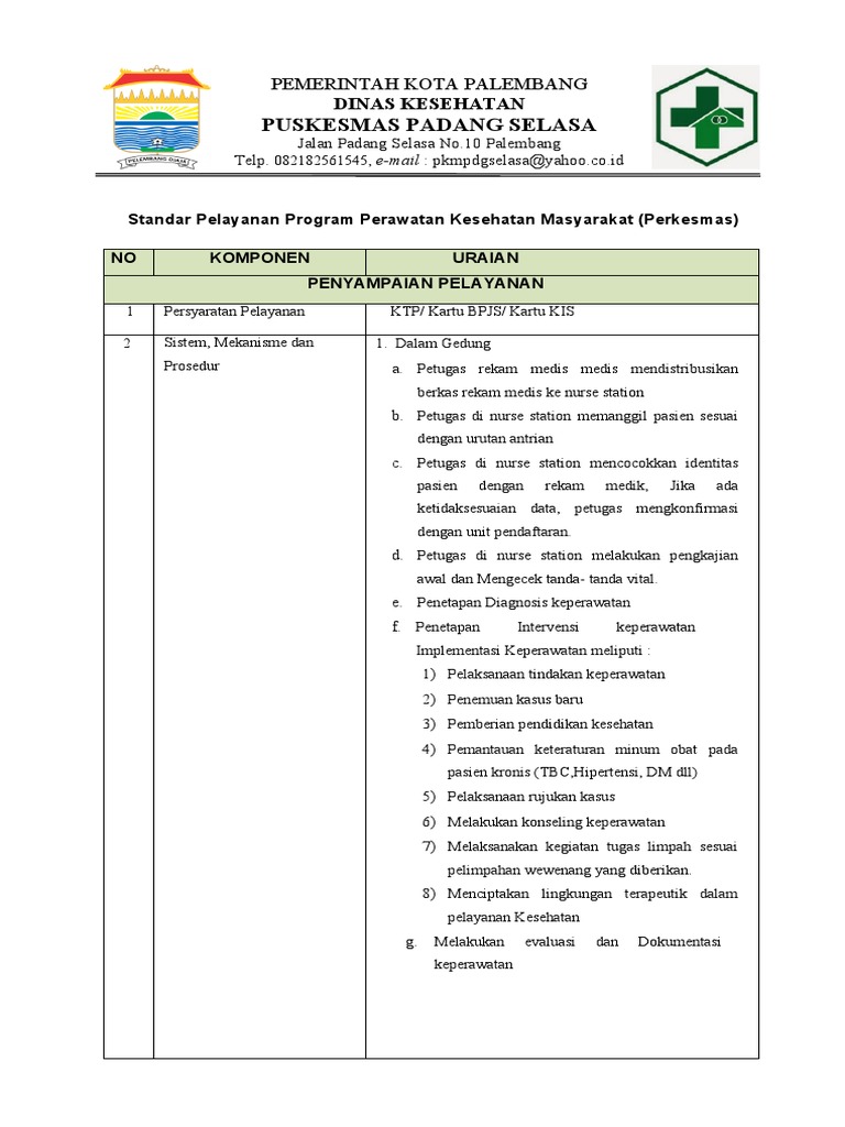 Standar Pelayanan Perkesmas | PDF | Kesehatan Holistik | Sains & Matematika