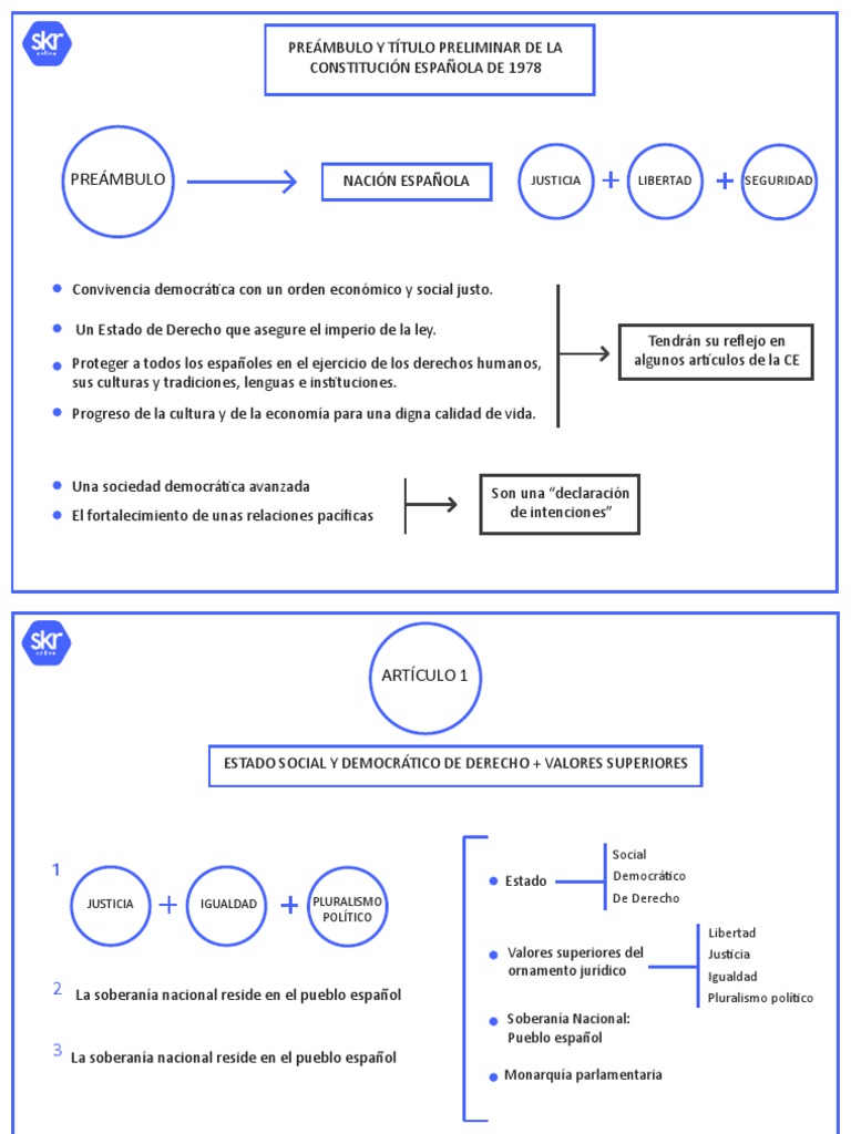 Preambulo y Titulo Preliminar | PDF