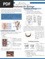 Anatomia da Laringe: Estruturas e Funções | PDF | Laringe | Anatomia humana