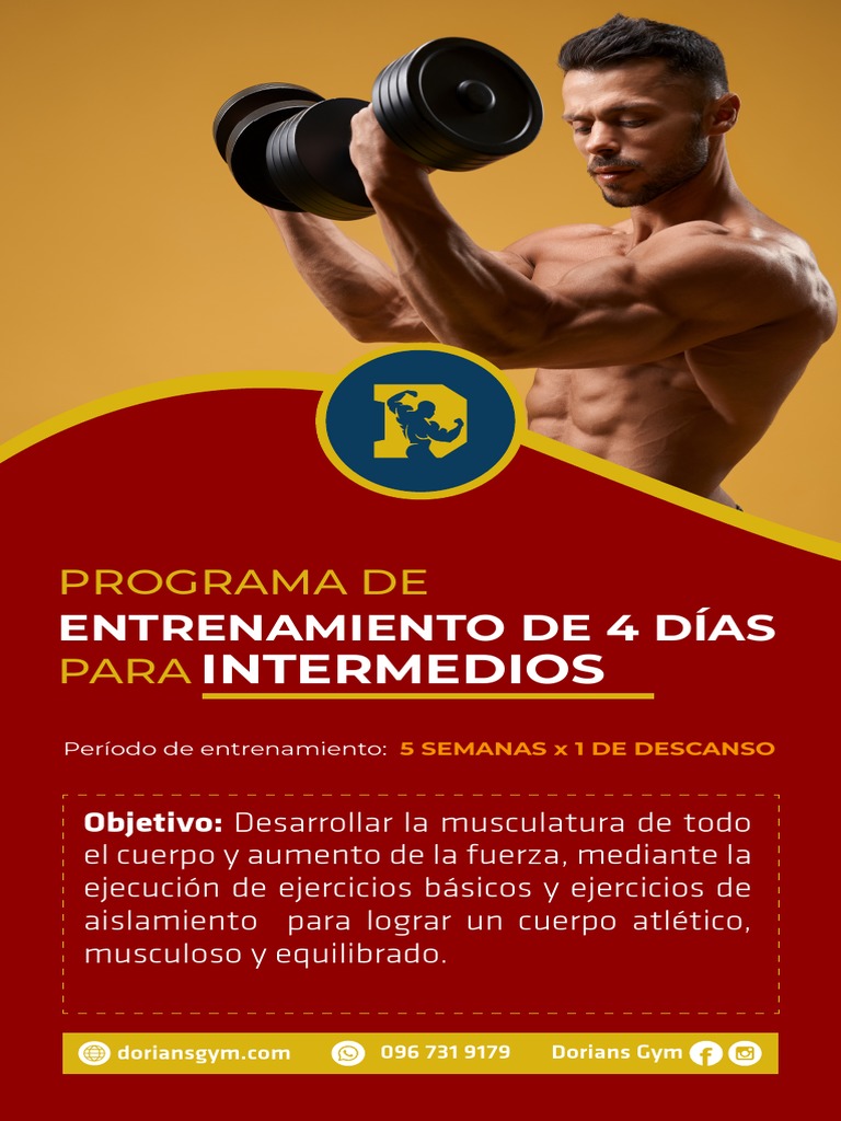 Rutina Intermedios-4 dias | PDF | Entrenamiento con pesas | Anatomía humana