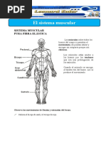 Experimento Tinta Invisible Con Curcuma - 20250203 - 094212 - 0000 ...