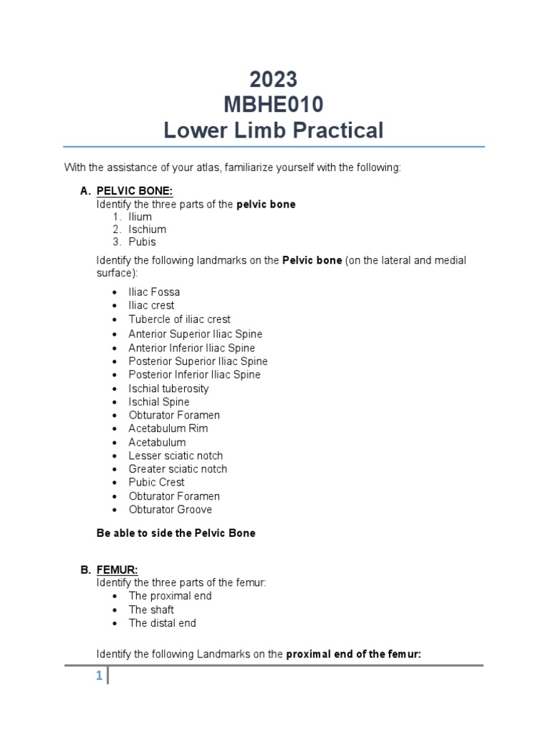 Lower Limb Anatomy and Landmarks Guide | PDF | Pelvis | Human Leg