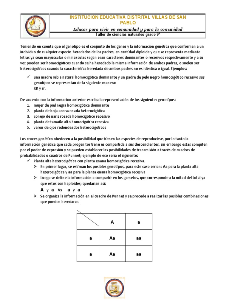 Taller de Genetica 9º Grado | PDF