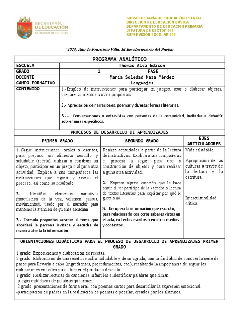 BOSQUEJO PROGRAMA ANALÍTICO P-1 Español | PDF