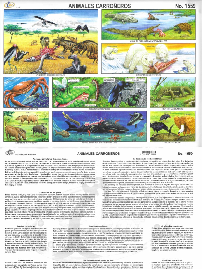 Animales Carroñeros | PDF
