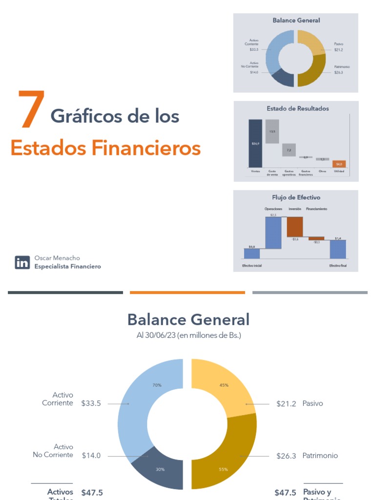 7 Graficos de Los Estados Financieros | PDF