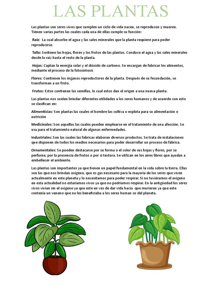 Información esencial sobre las plantas | PDF