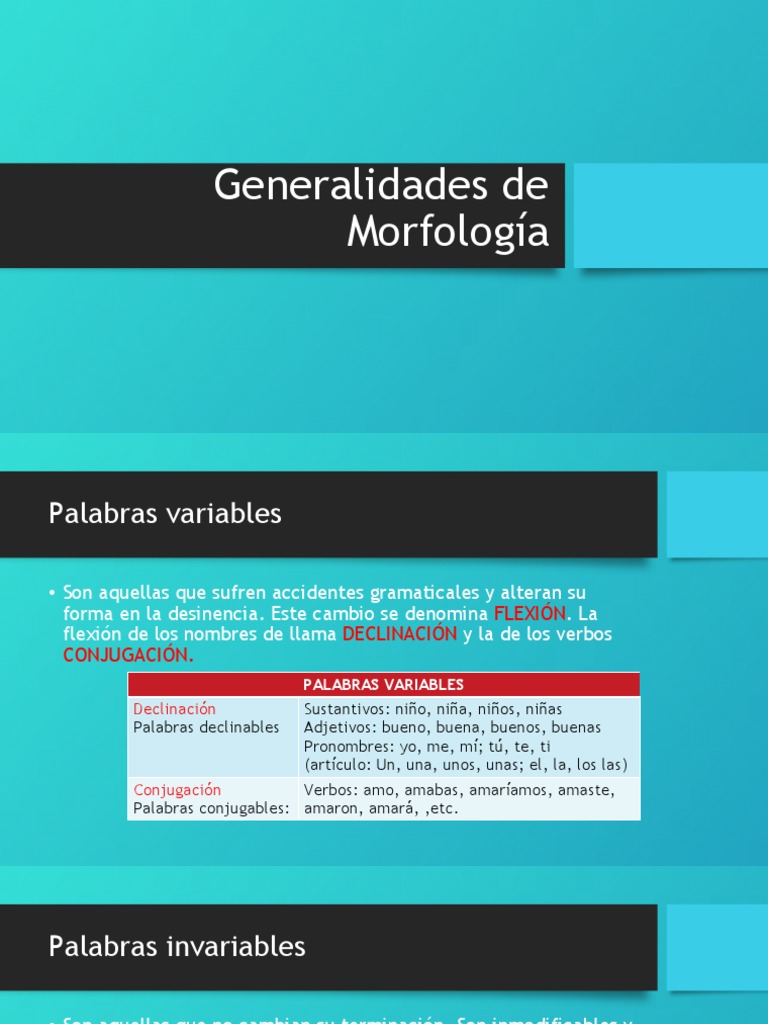 Generalidades de Morfología | PDF