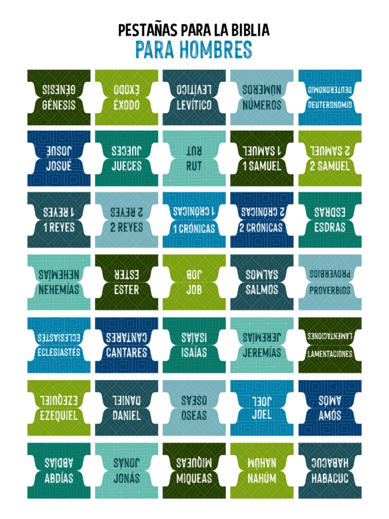 Pestañas para La Biblia | PDF