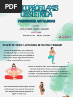Essalud. GUIA DE Psicoprofilaxis Obstetrica y Estimulacion Prenatal | PDF