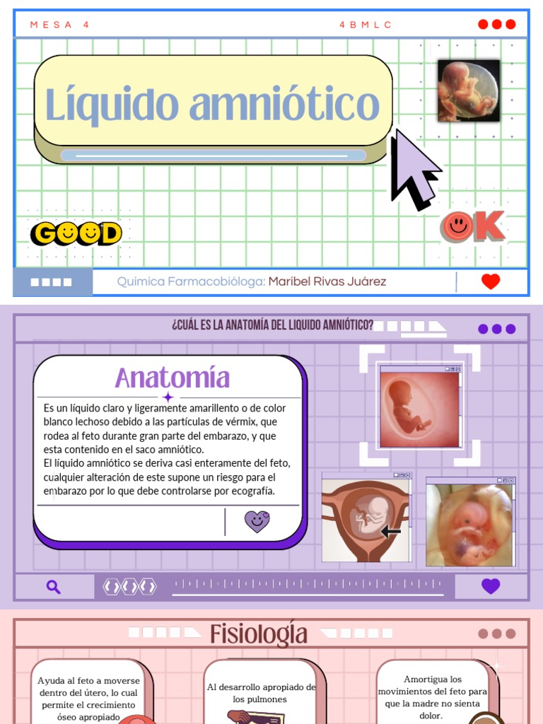 Líquido Amniótico Pdf Feto Sistema Circulatorio