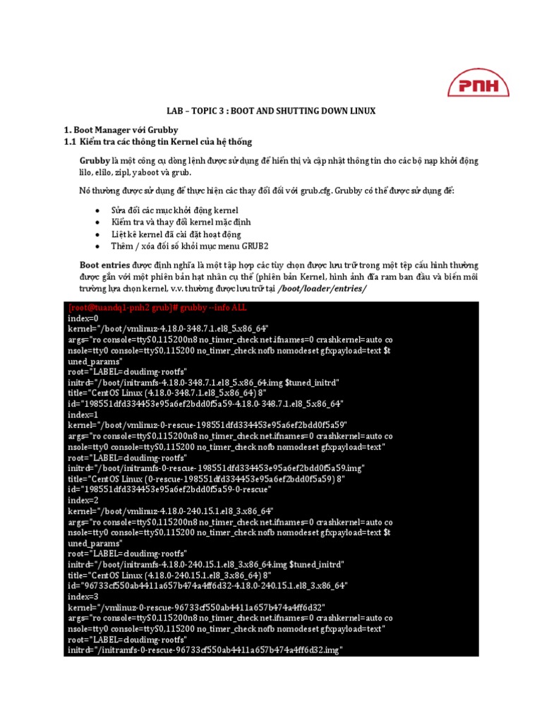 TOPIC 3 - LAB - Boot and Shutting Down | PDF