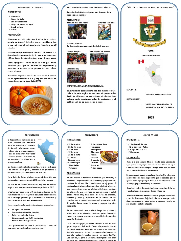 TRIPTICO_REGION_PASCO | PDF