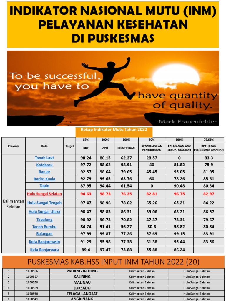 Indikator Nasional Mutu Pelayanan Kesehatan | PDF