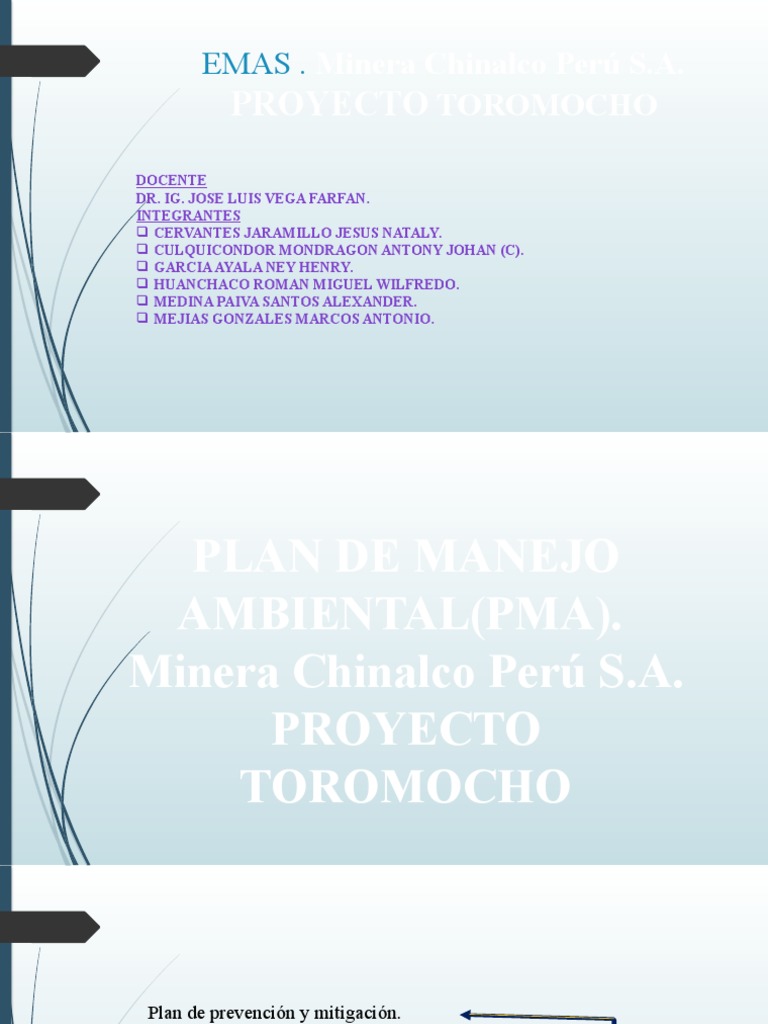 Diapositivas Emas | PDF