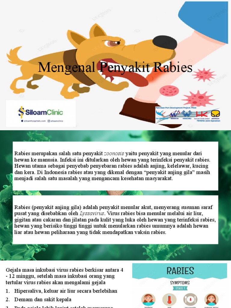 Mengenal Penyakit Rabies | PDF