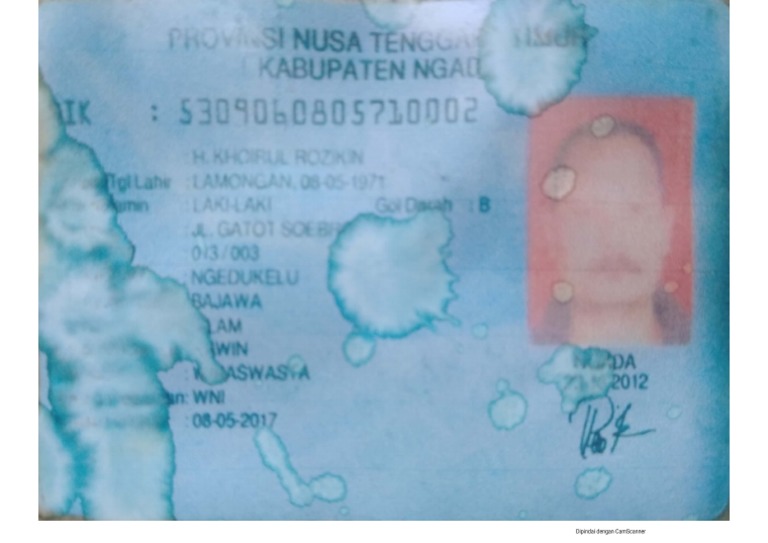 ktp direktur indon | PDF