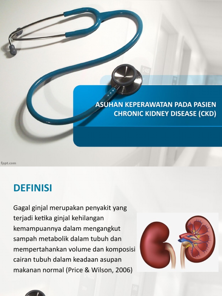 CKD Rina Devi | PDF