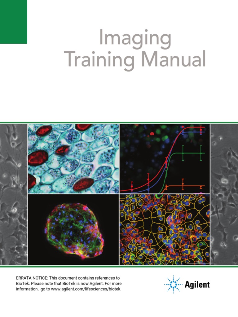 Imaging Training Manual | PDF