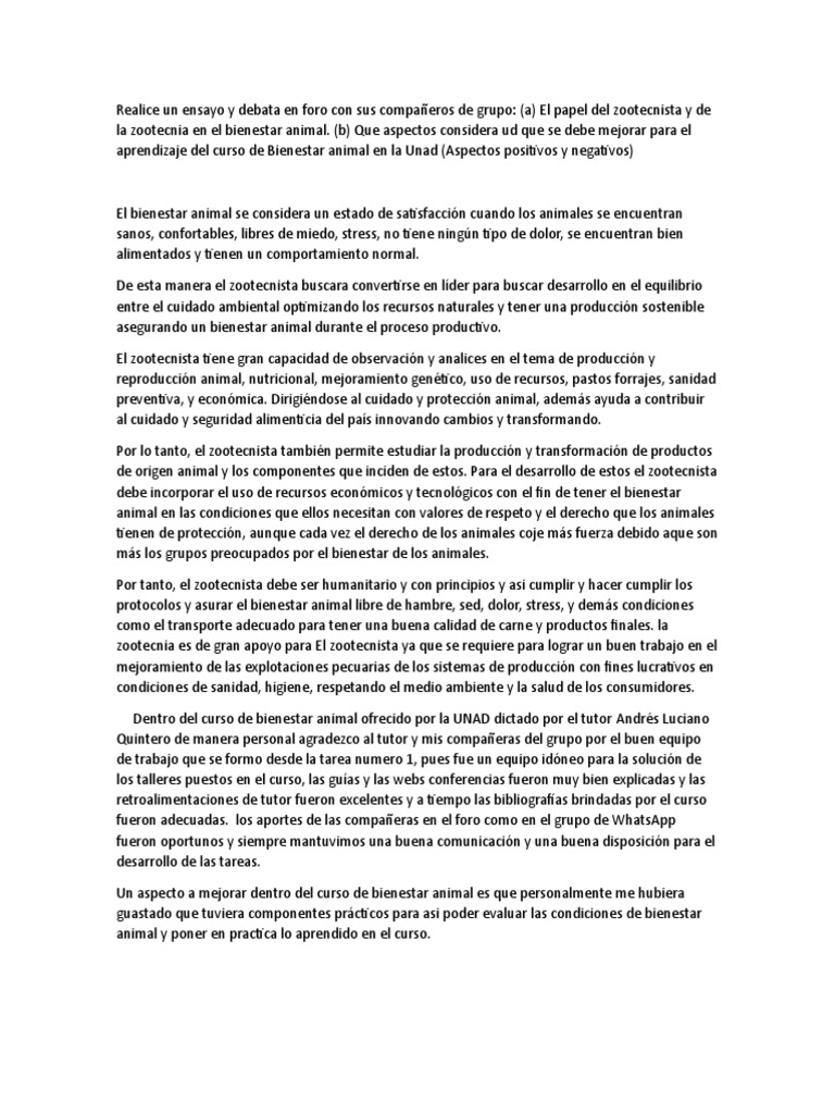 Ensayo Tarea Final | PDF