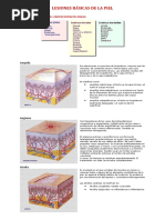 Diaz Apaza Anthony Jesus-Diascopia - Vitropresion | PDF ...