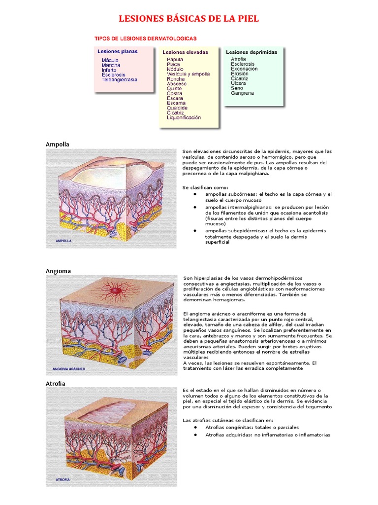 Lesiones Básicas de La Piel | PDF | Piel | Epidermis