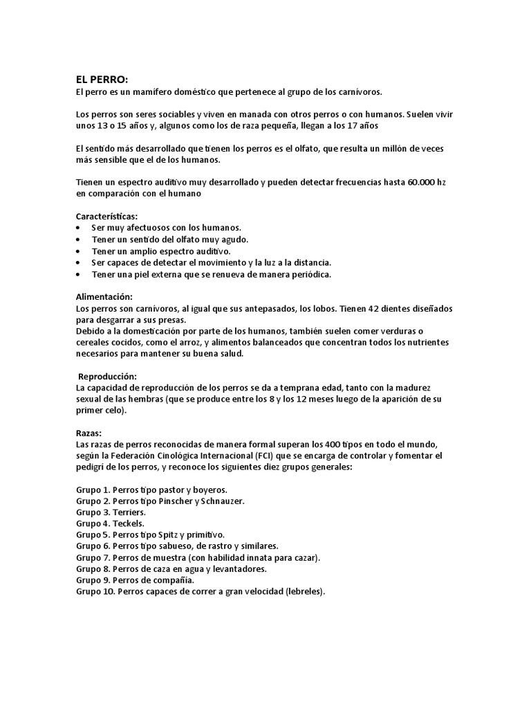 El Perro | PDF