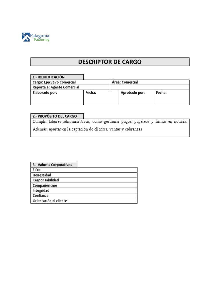 Descriptor de Cargo EJECUTIVOS | PDF