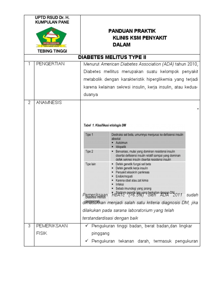 PPK DM Type II RSKP | PDF | Kesehatan Holistik