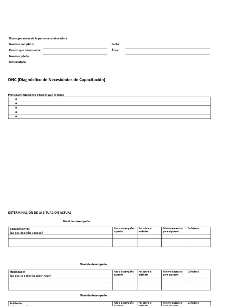 DNC-Formato 2023 | PDF