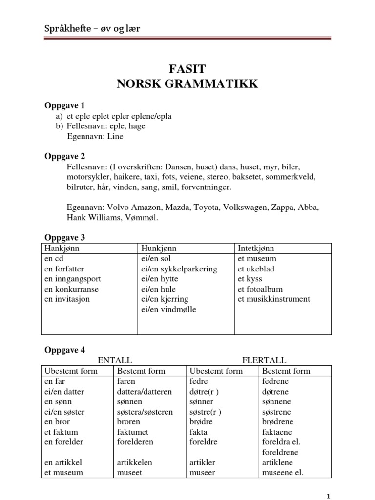 Fasit Norsk Grammatikk | PDF