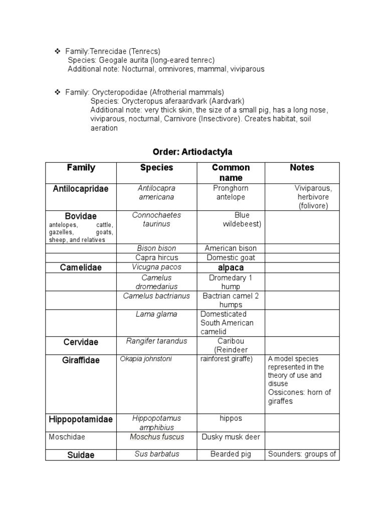 Tun Anan Sa Sir Blaz Exam | PDF