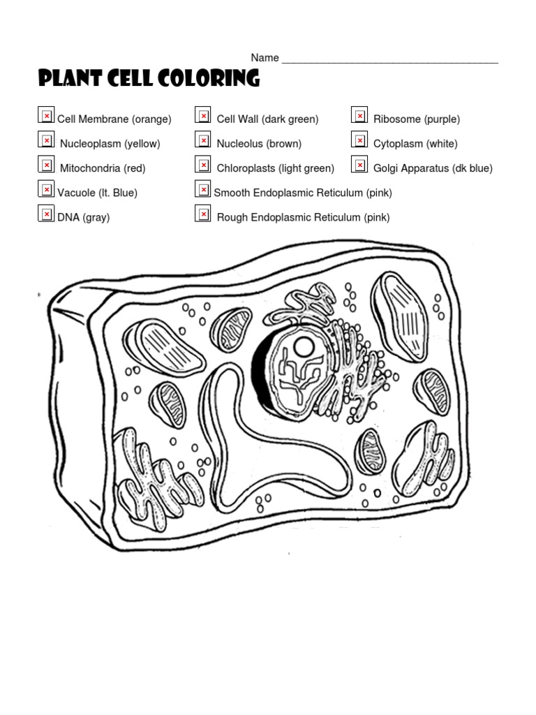 3.2 Plant Cell Art | PDF